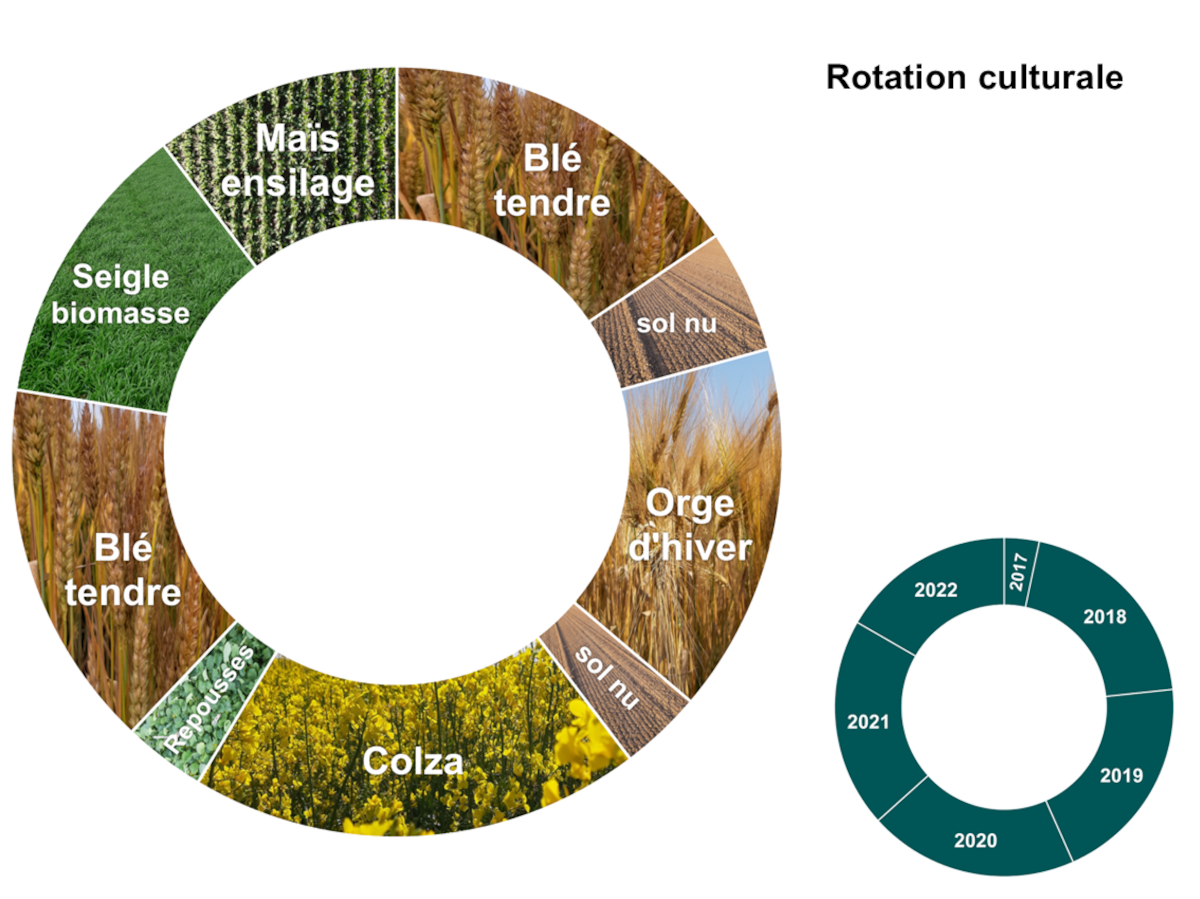 Polyculture-Élevage | Plateforme Agronomique Trajectoire