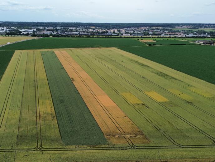 La parcelle | Plateforme Agronomique Trajectoire